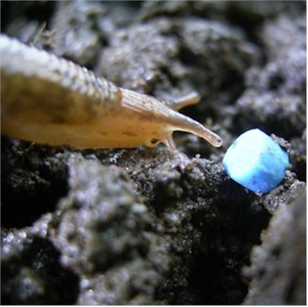 Reducing risks to water through improved slug pellet formation